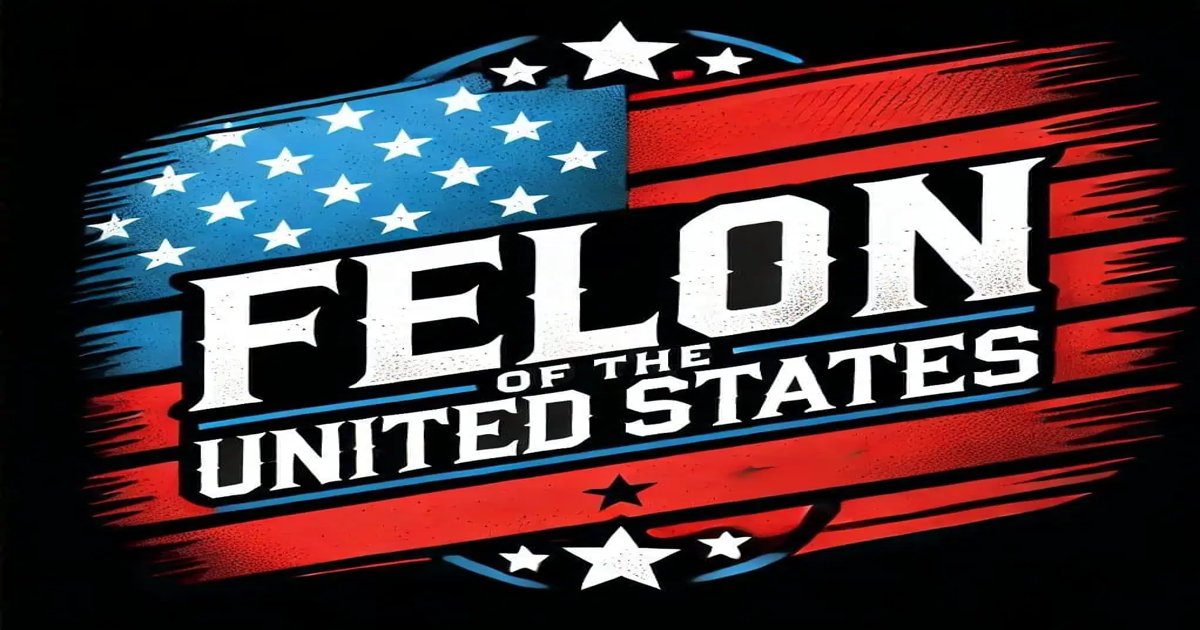 Amy Dorris - Felon of The United States